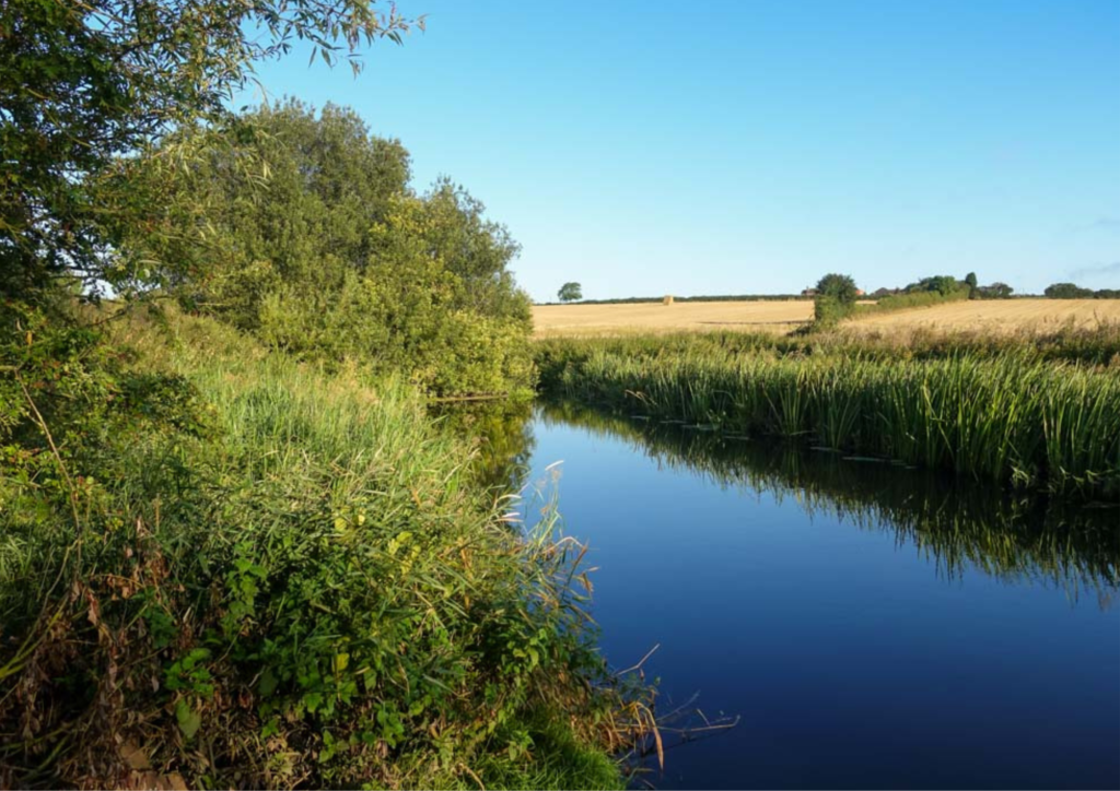 River Anker, Amington - Sutton Coldfield Angling Society