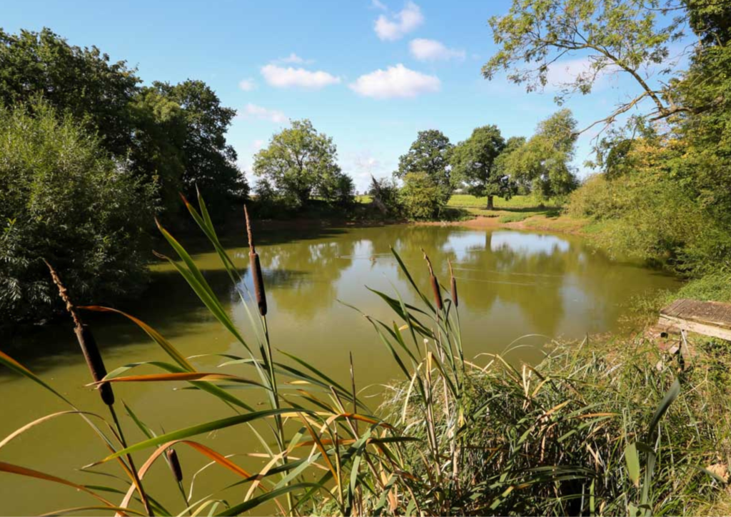 Church Pit, Wishaw - Sutton Coldfield Angling Society
